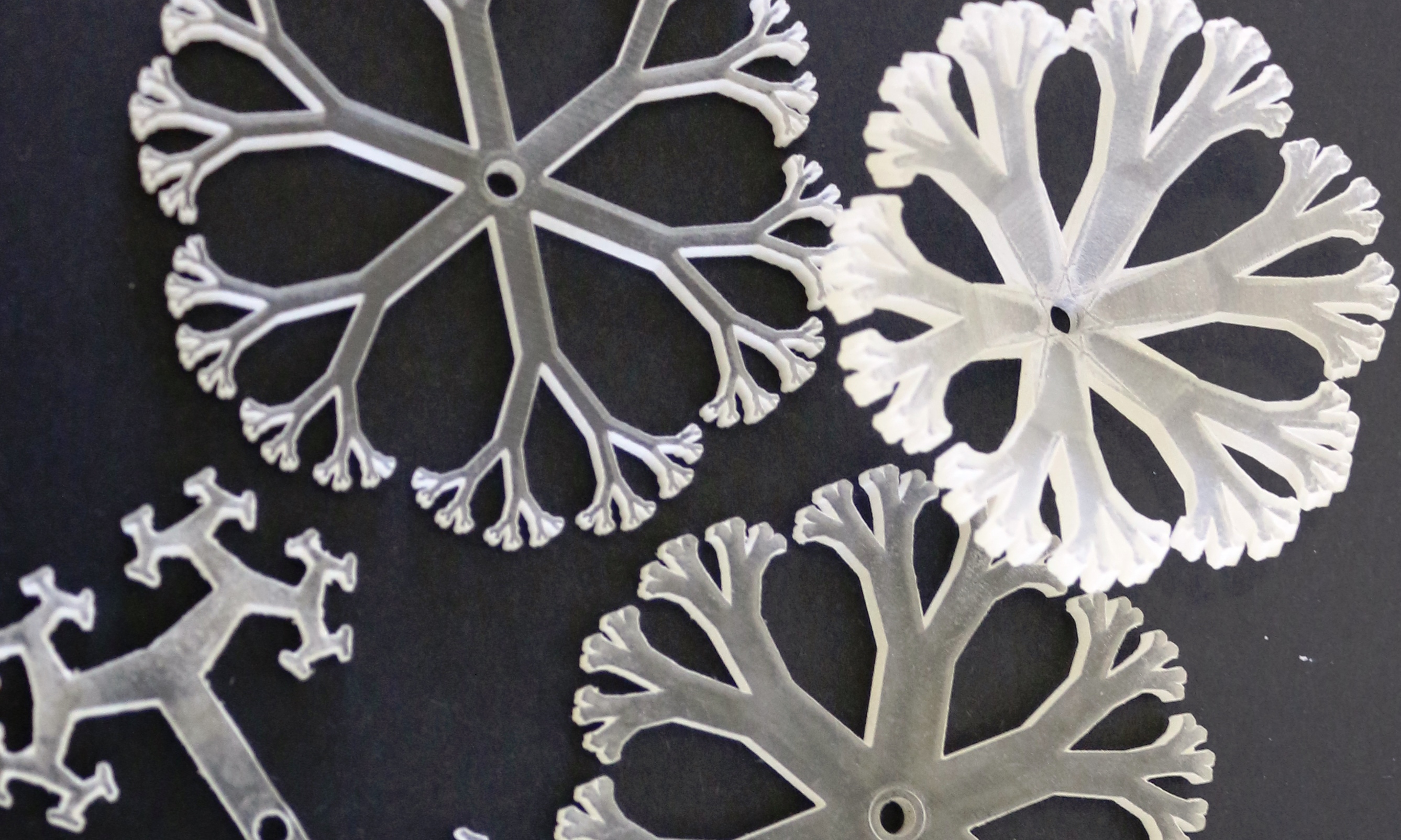 Tree-roots inspire anchor design - The University of Sydney