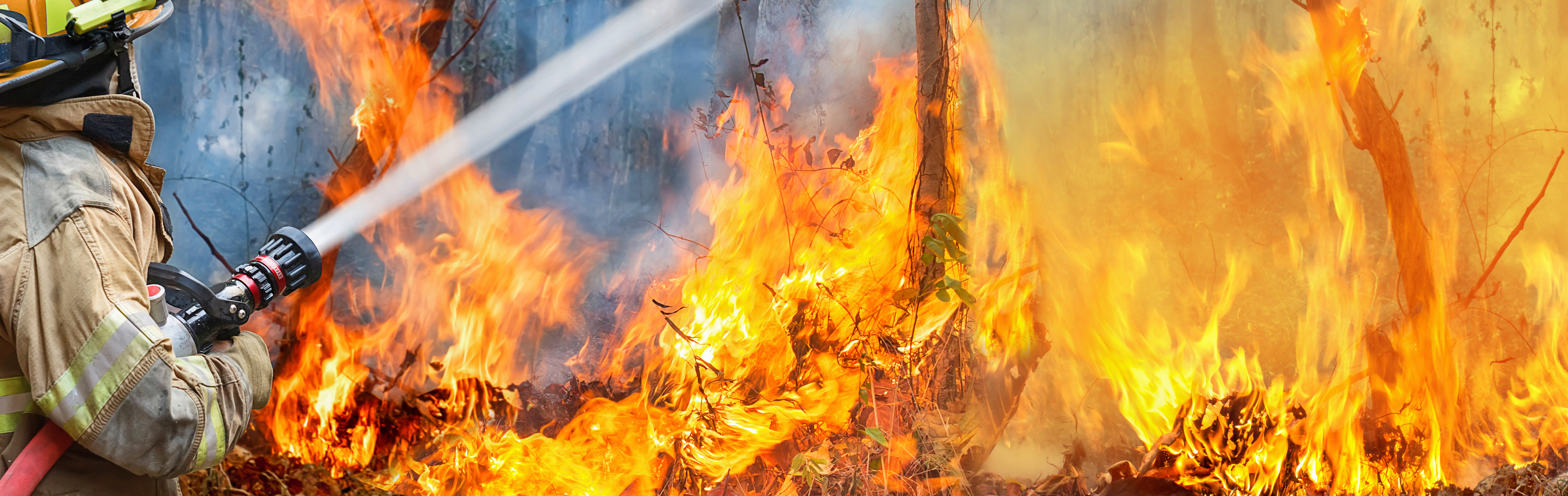 Are we facing a catastrophic bushfire season? - The University of Sydney