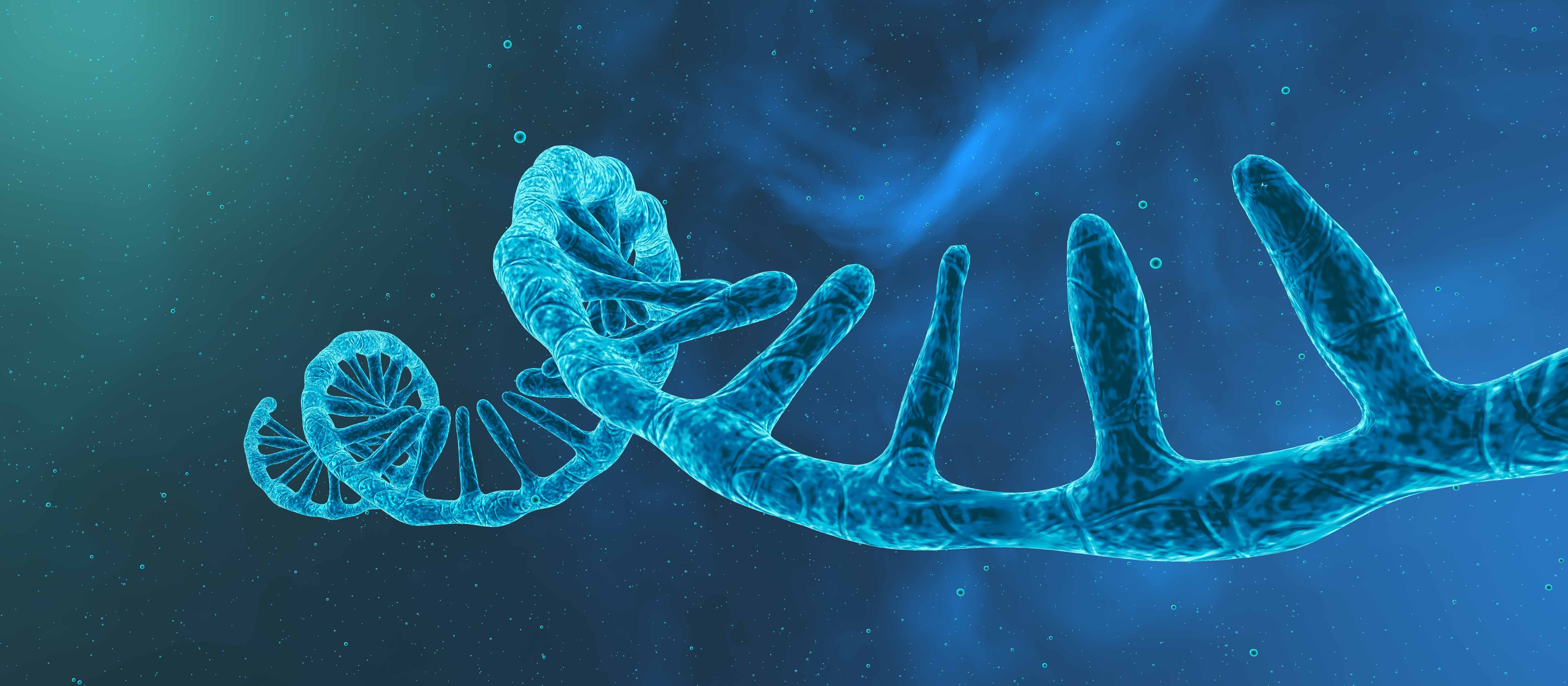 Beyond CRISPR: seekRNA delivers a new pathway for accurate gene editing ...