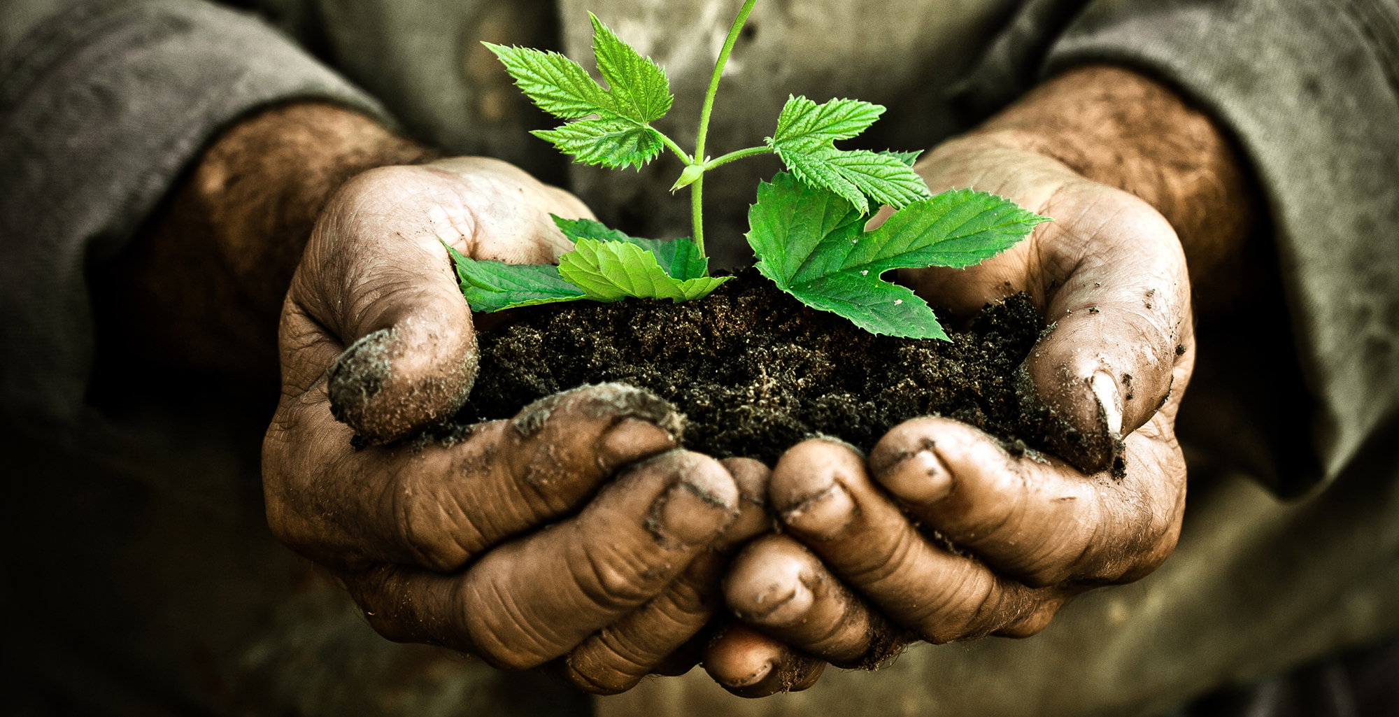 Global soil library will help us better know the living skin of planet ...