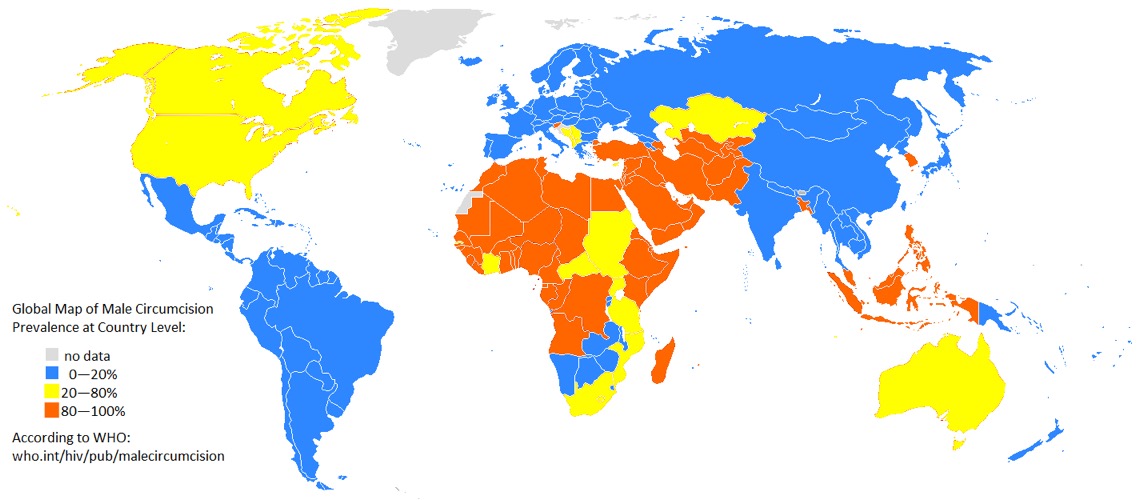Male circumcision: 1 in 3 globally but almost universal in Muslim and ...
