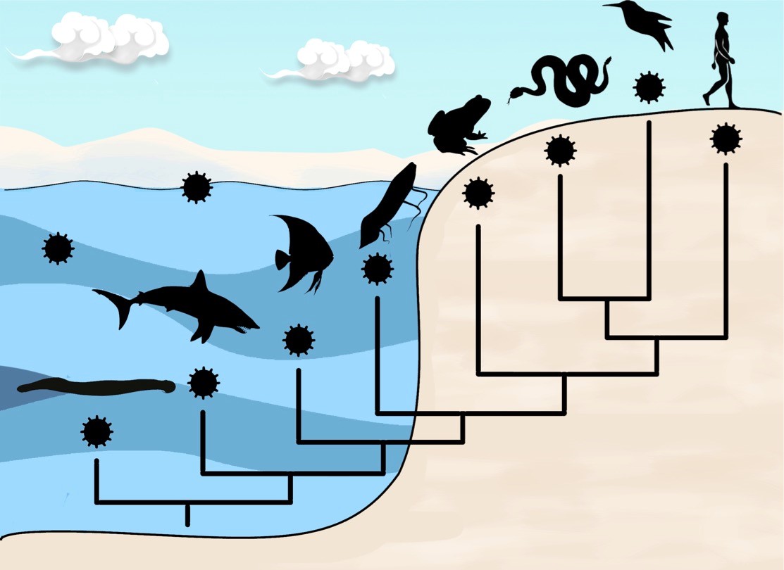 Ancient origins of viruses discovered - The University of Sydney