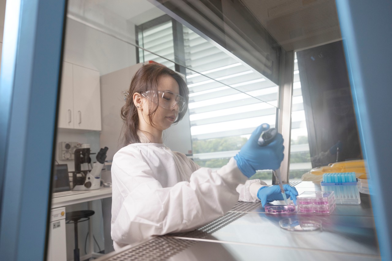 Horizon Fellows - The University of Sydney