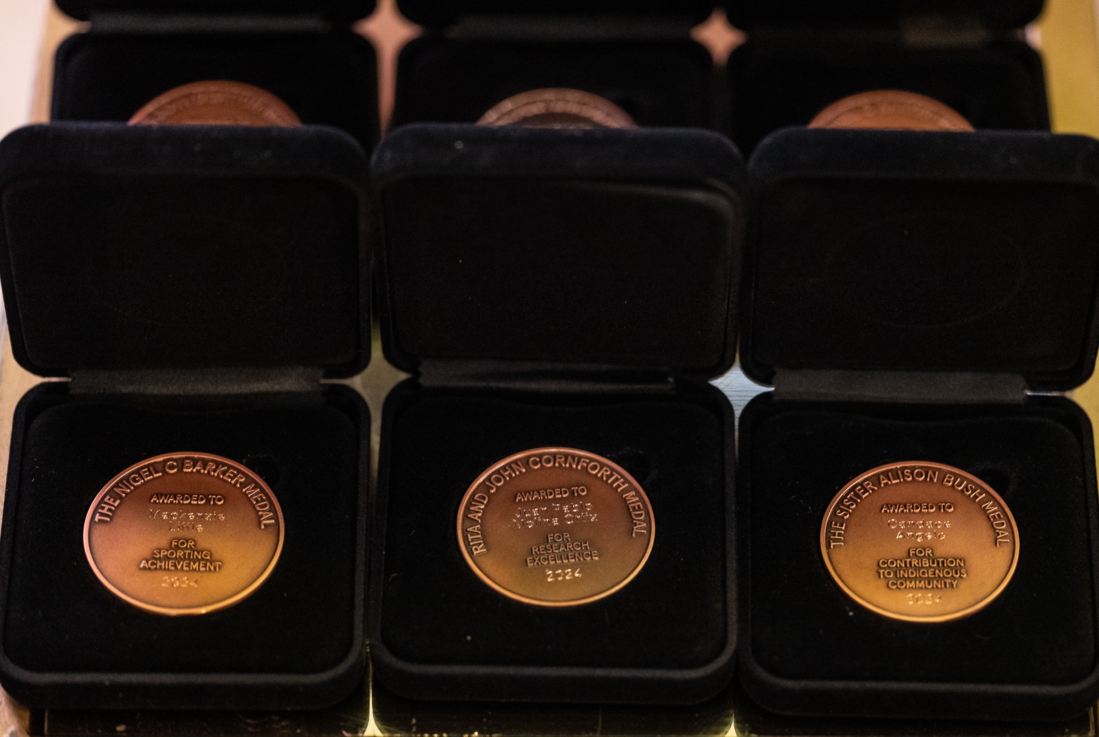 How to write a winning Graduate Medal nomination - The University of Sydney