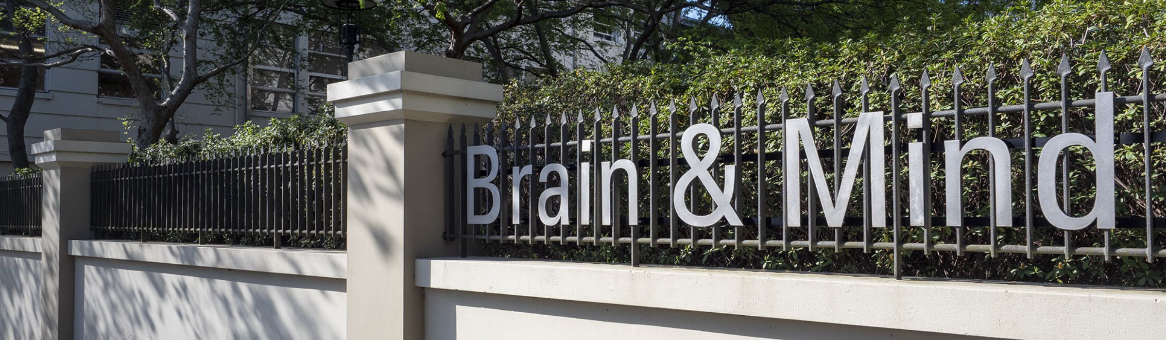 Brain and Mind Centre: A year in review 2024 - The University of Sydney
