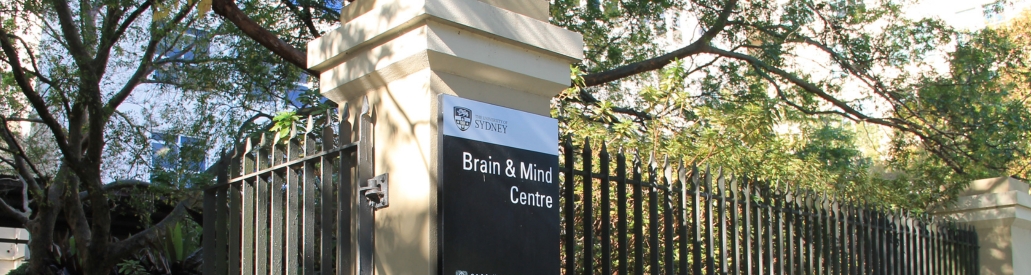 Former Minister appointed as advisor to Youth Mental Health team - The ...