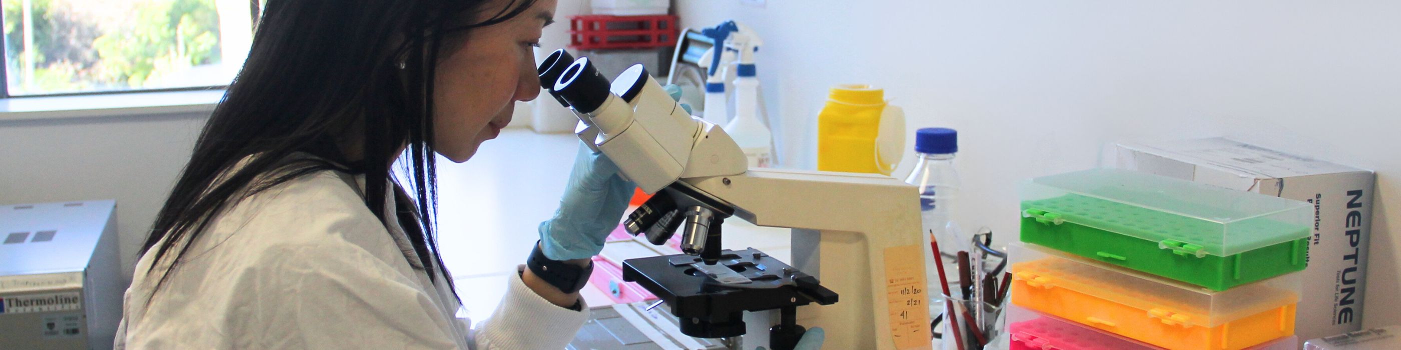 Bright Future for Motor Neurone Disease Research - The University of Sydney