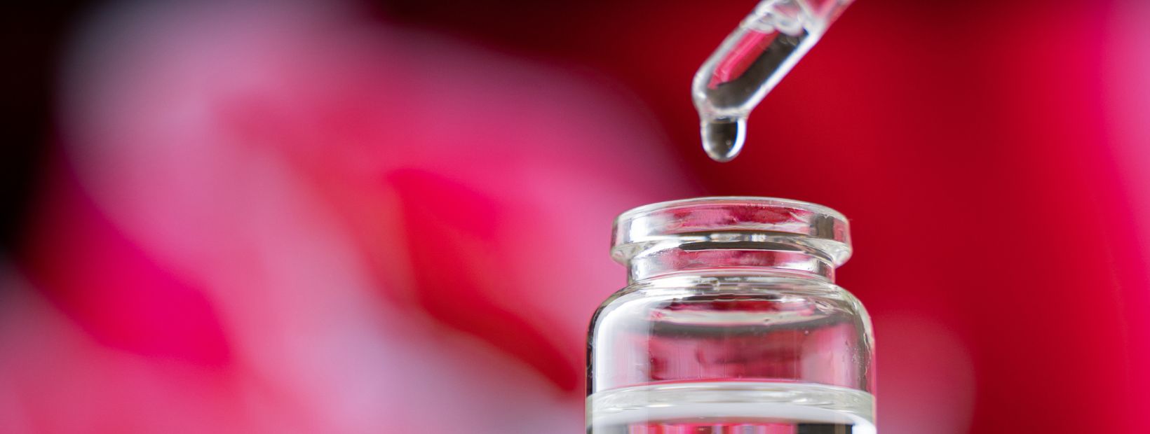 NHMRC grant success - The University of Sydney