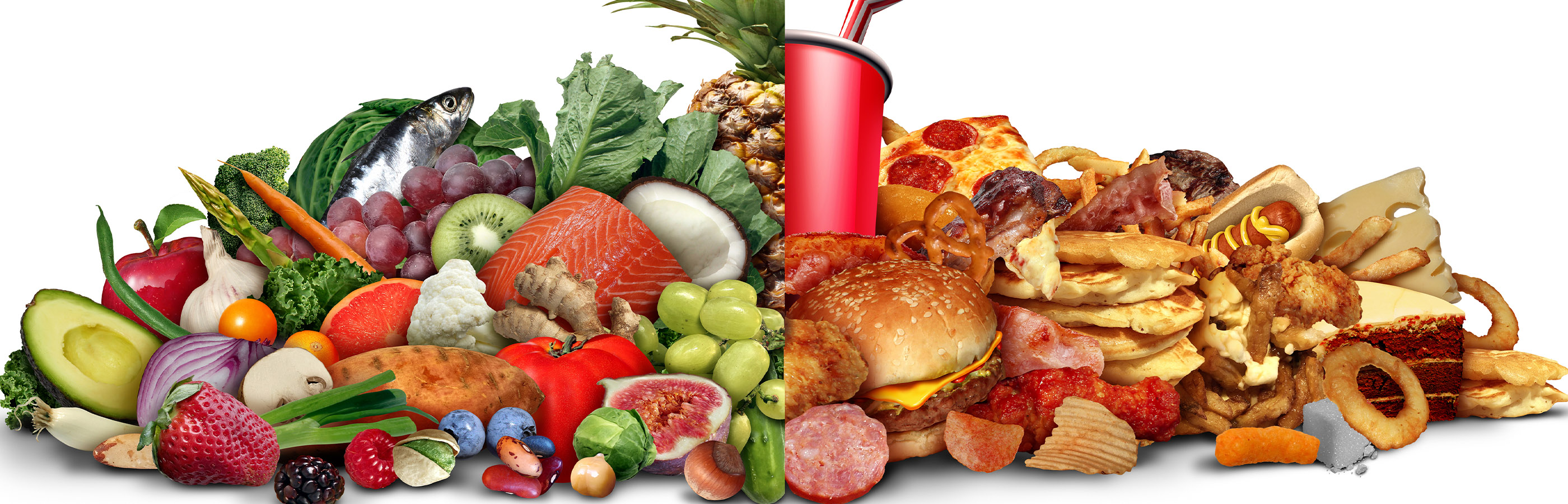 Food processing the good the bad and the ugly - The University of Sydney