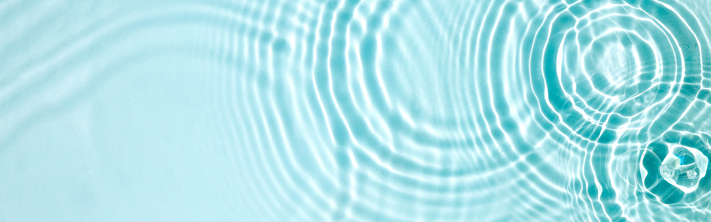 CPC RPA Health for Life Program - Charles Perkins Centre