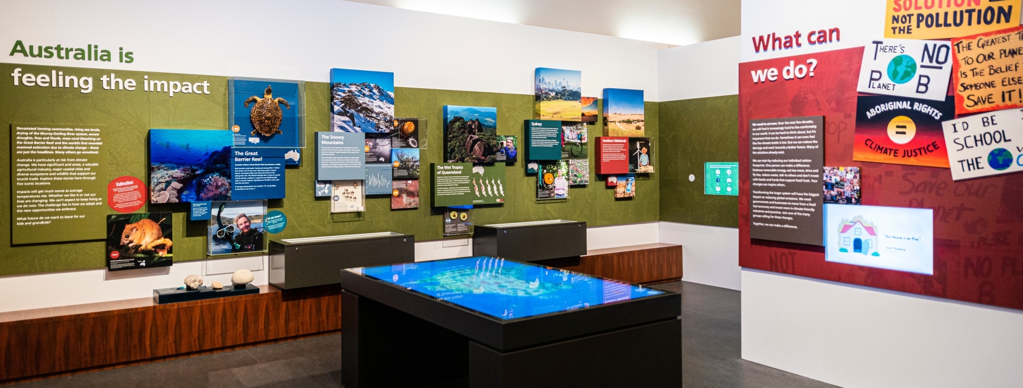 From Museum and Heritage Studies to climate crisis awareness - The ...