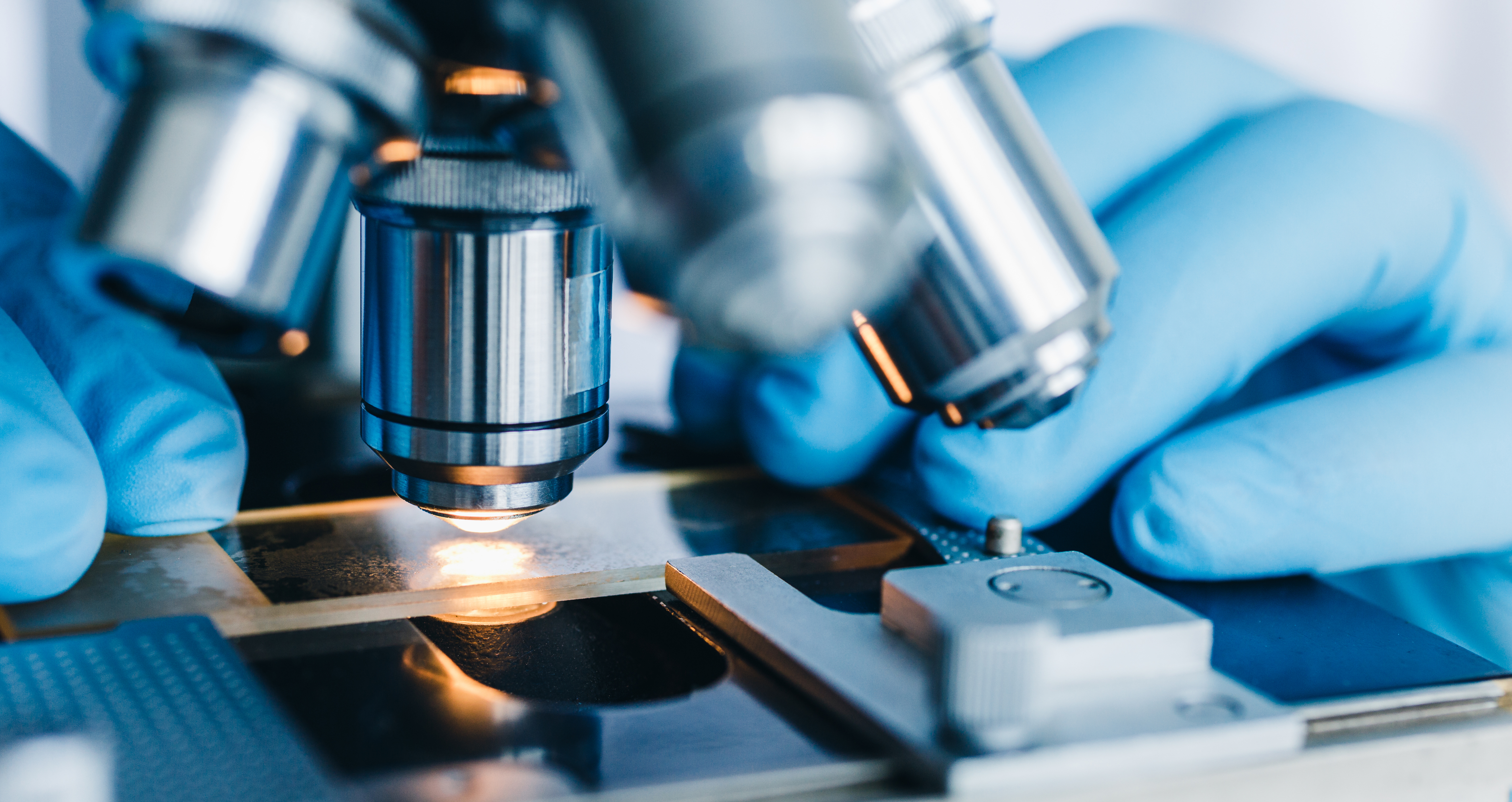 The PhD candidate learning from a global network of researchers - The ...