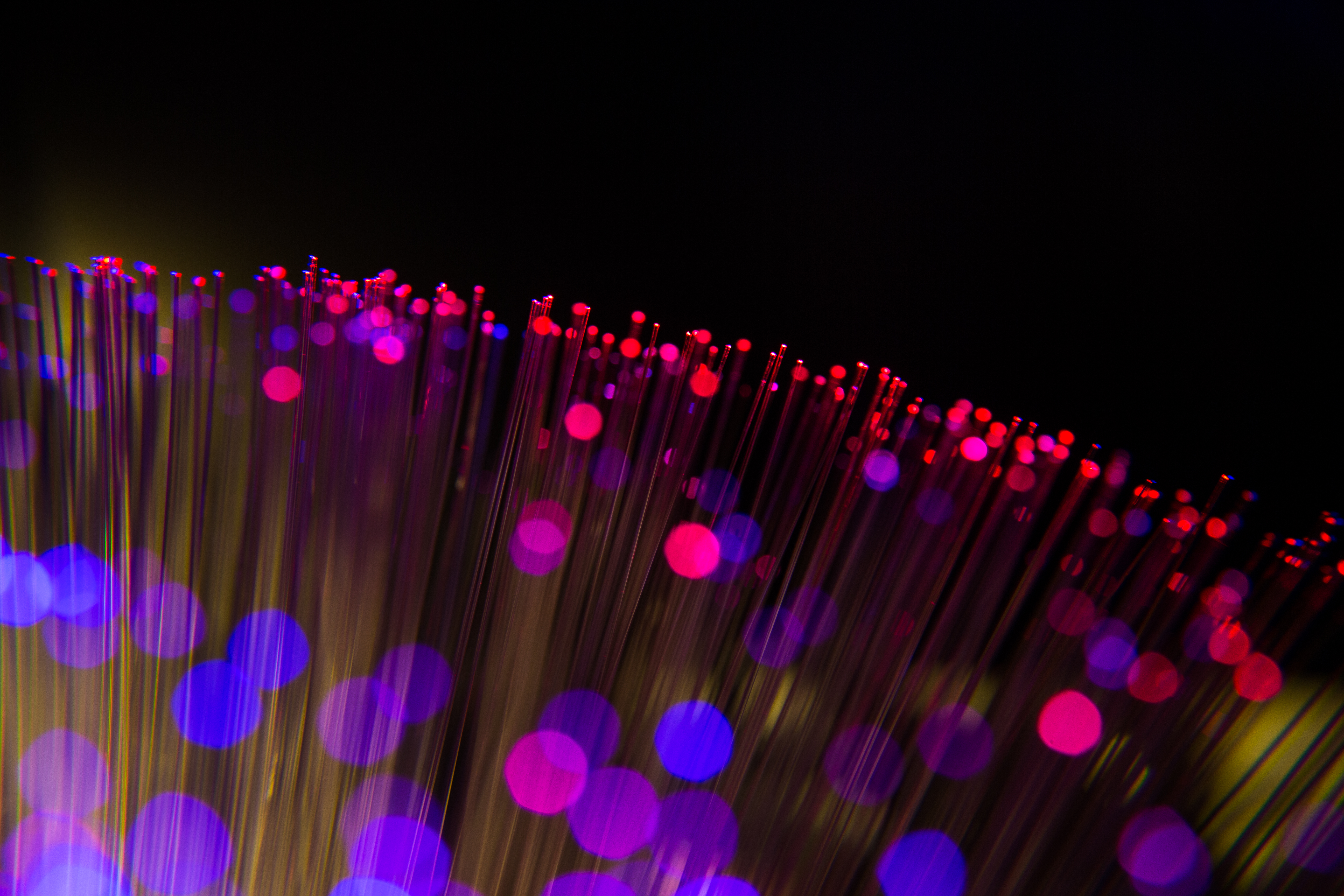 Dr Alice Klein - Faculty of Science