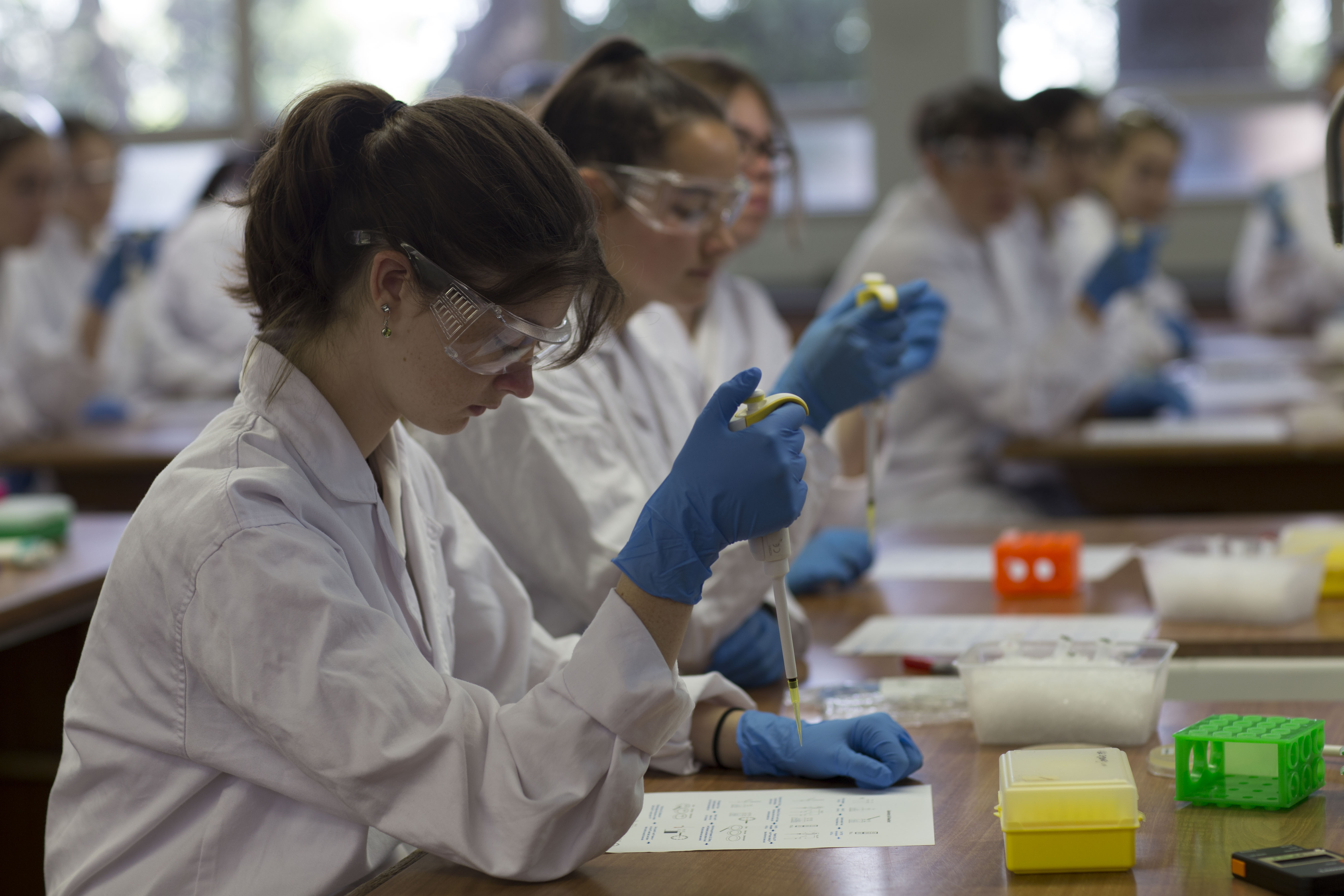 Amgen Biotech Experience