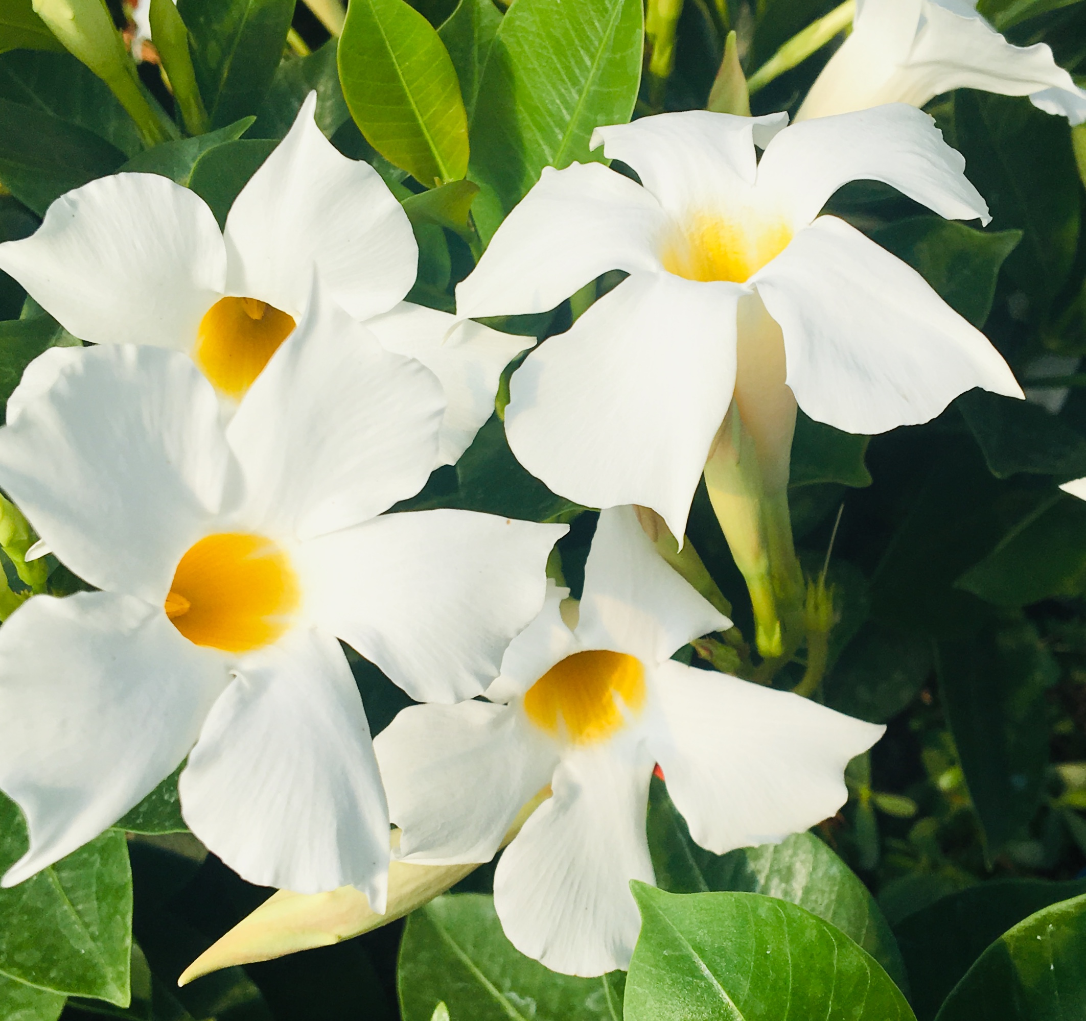 Science tips for summer - The University of Sydney