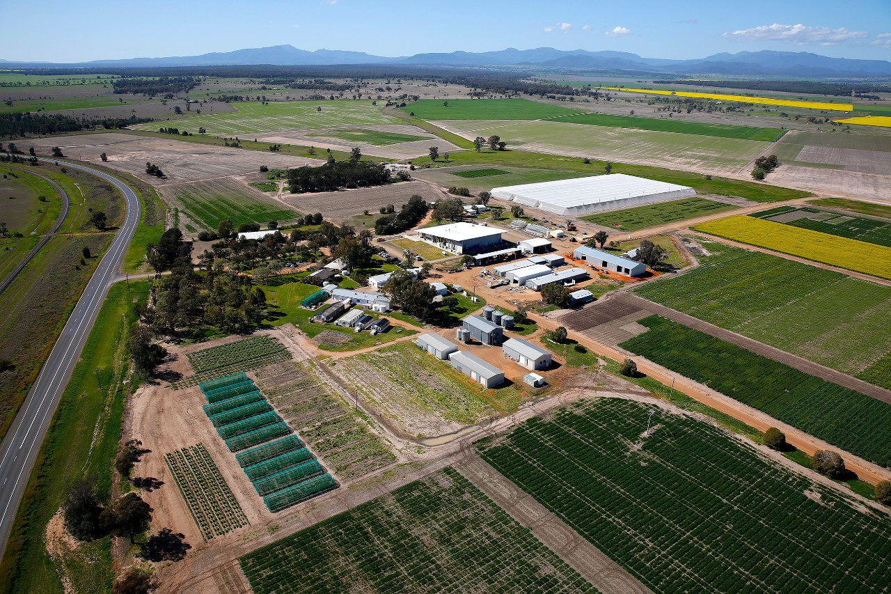 Digifarm - The University of Sydney Institute of Agriculture