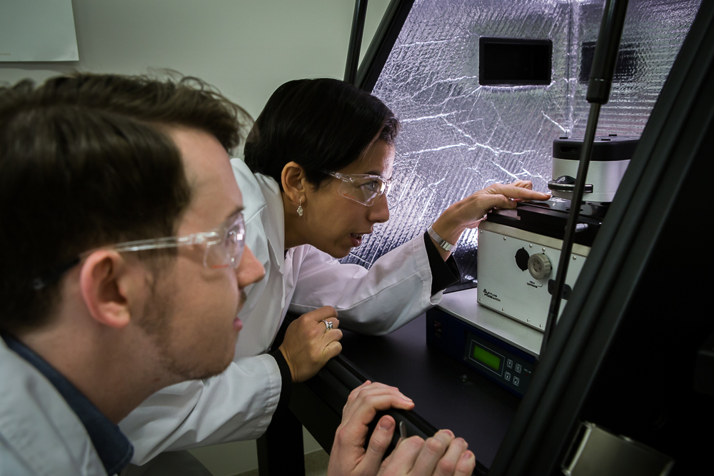 Postgraduate courses - Faculty of Science