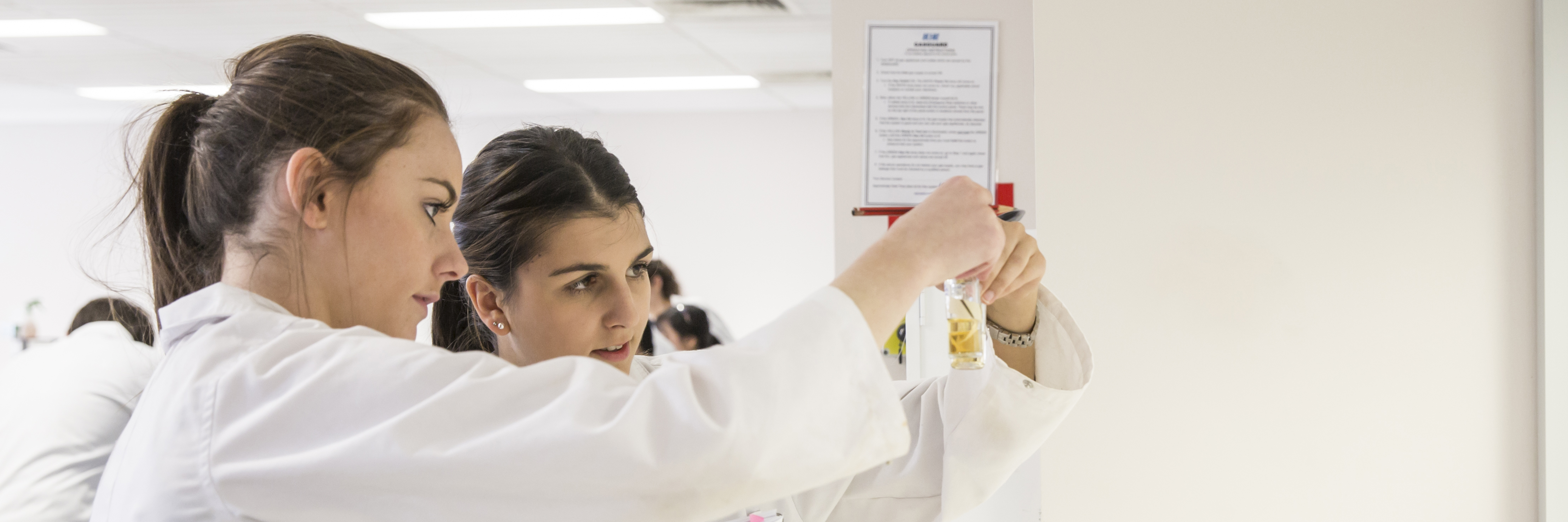 Study science - Faculty of Science