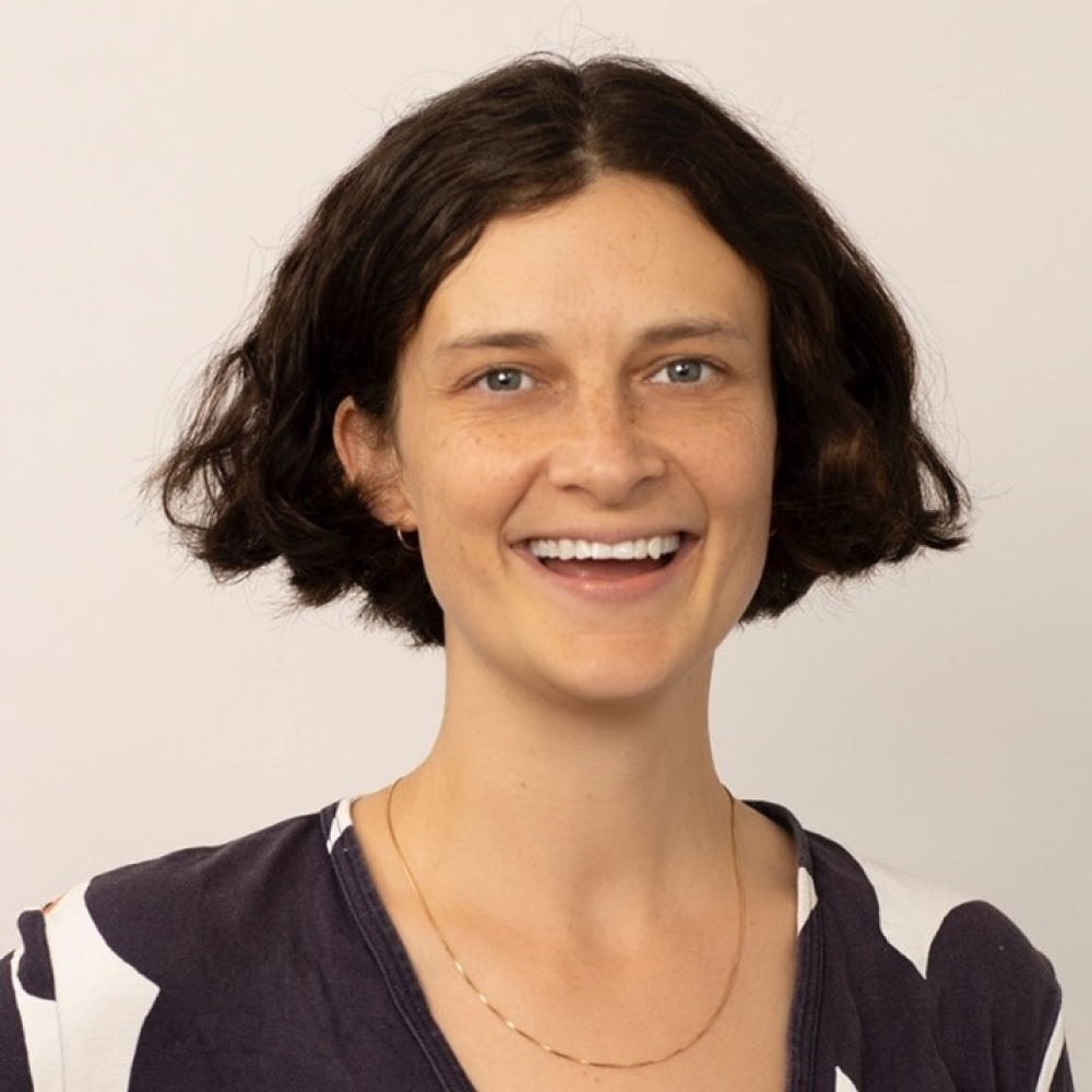 Incubator team - Henry Halloran Urban and Regional Research Initiative