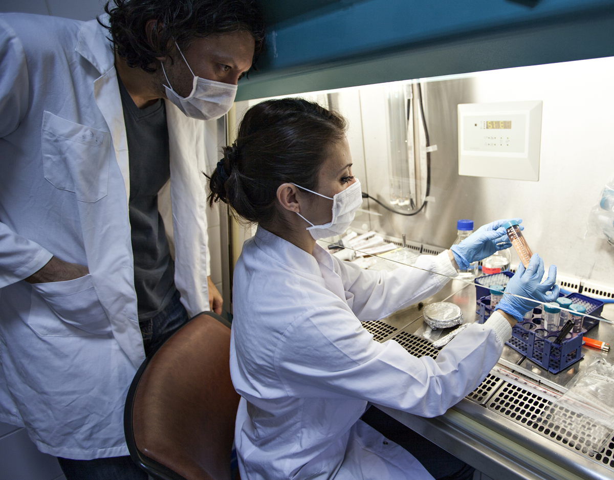 PhD partnership program - The University of Sydney