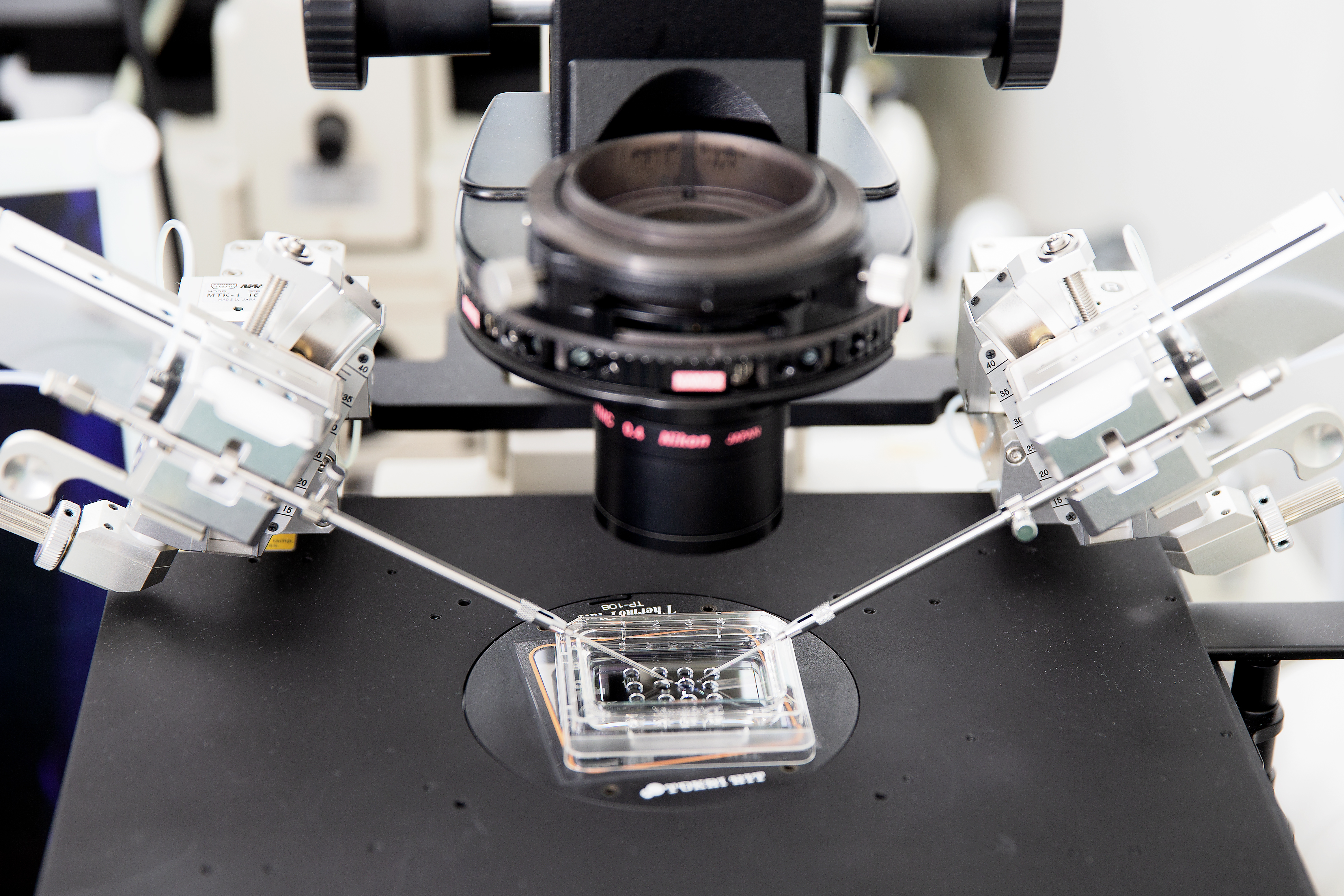 Reproductive Endocrinology and Infertility