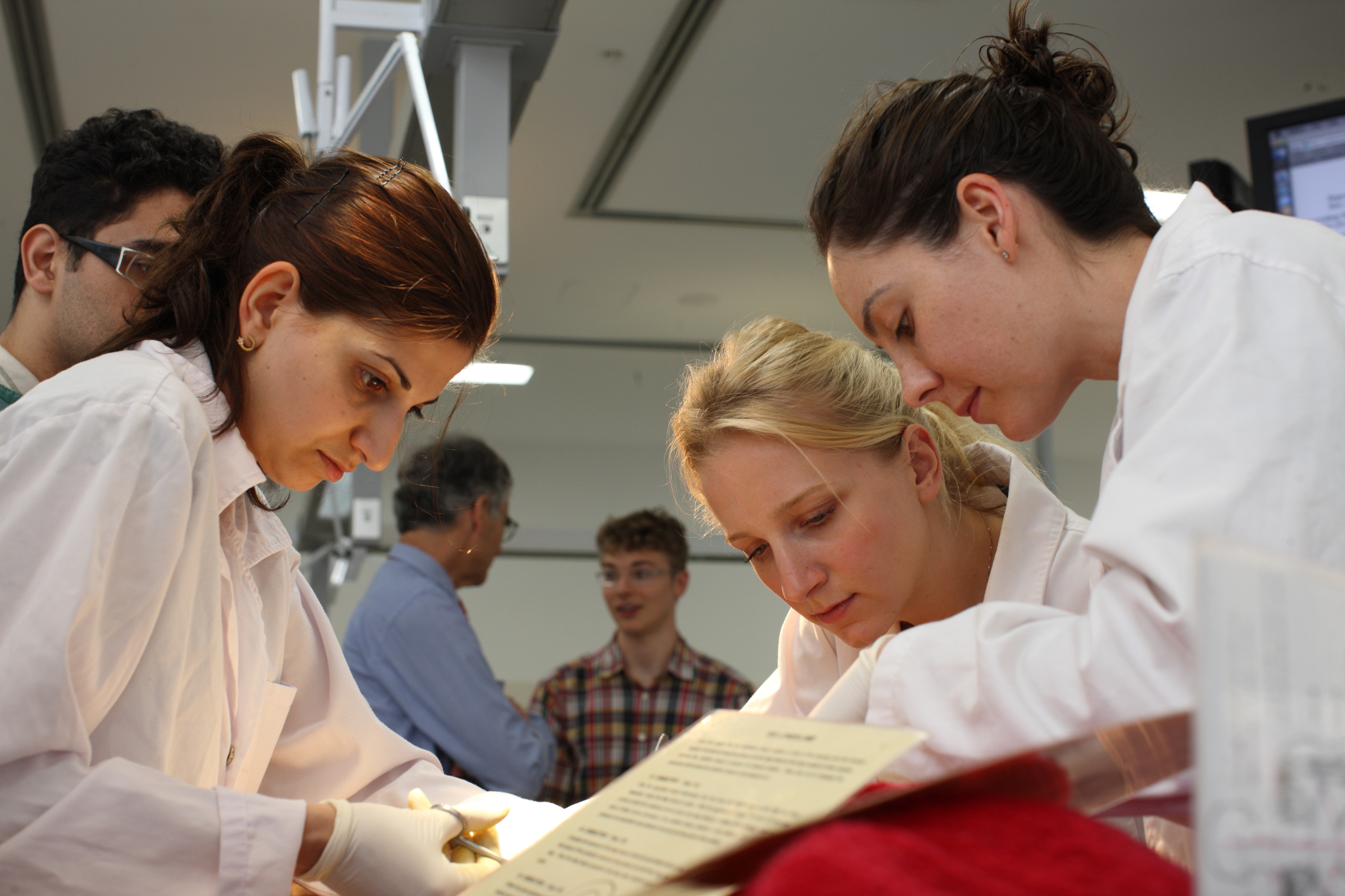 Undergraduate medicine and health courses - Faculty of Medicine and Health