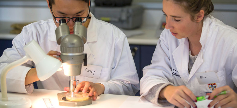 Student internships and placements - Faculty of Science