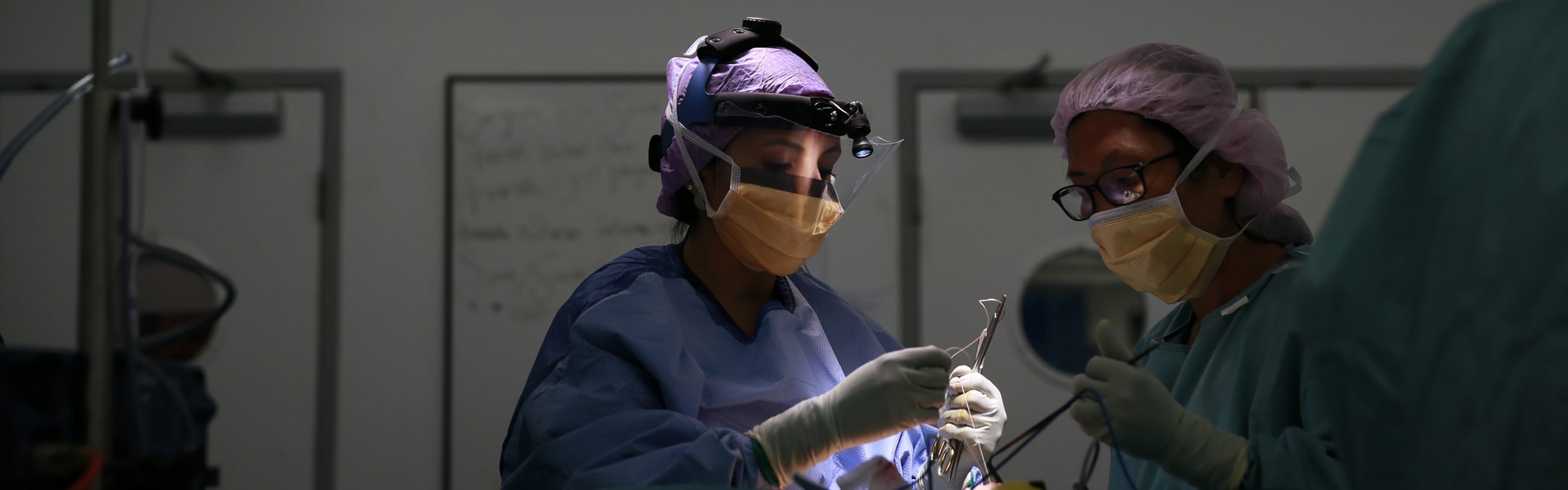 Postgraduate medicine and health courses - Faculty of Medicine and Health