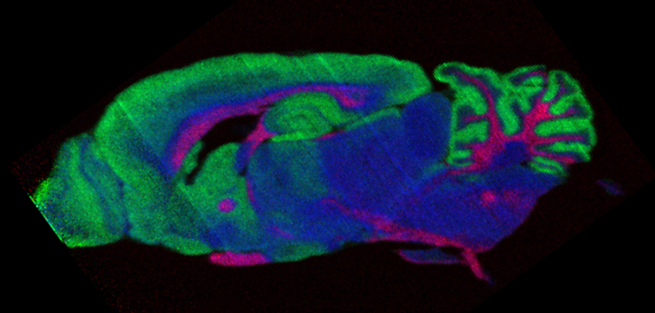 Mass spectrometry imaging - The University of Sydney