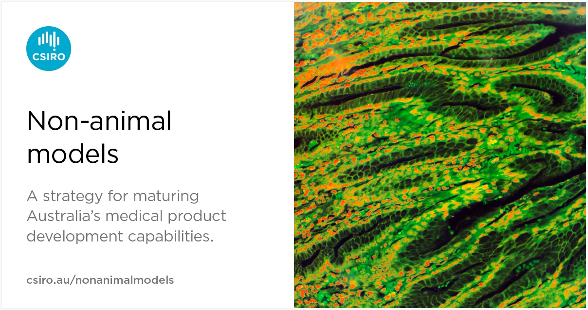 Animals in research and teaching at the University