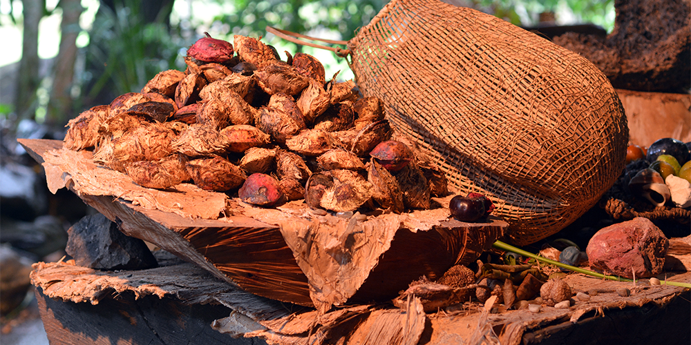 Indigenous sustainability practices and processes - Sydney Environment ...
