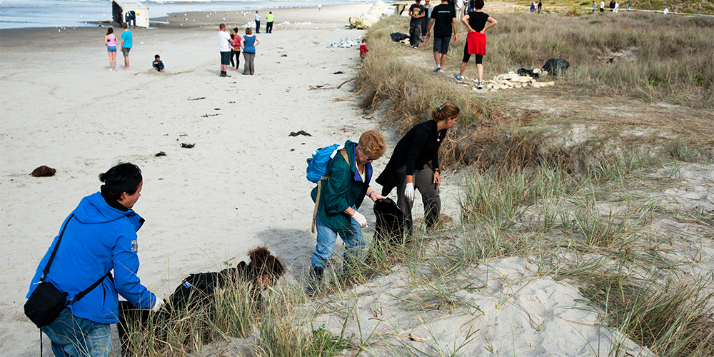 Environmental behaviour change: harnessing the power of volunteers and ...