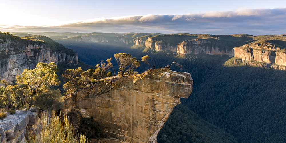Unsettling ecological poetics - Sydney Environment Institute