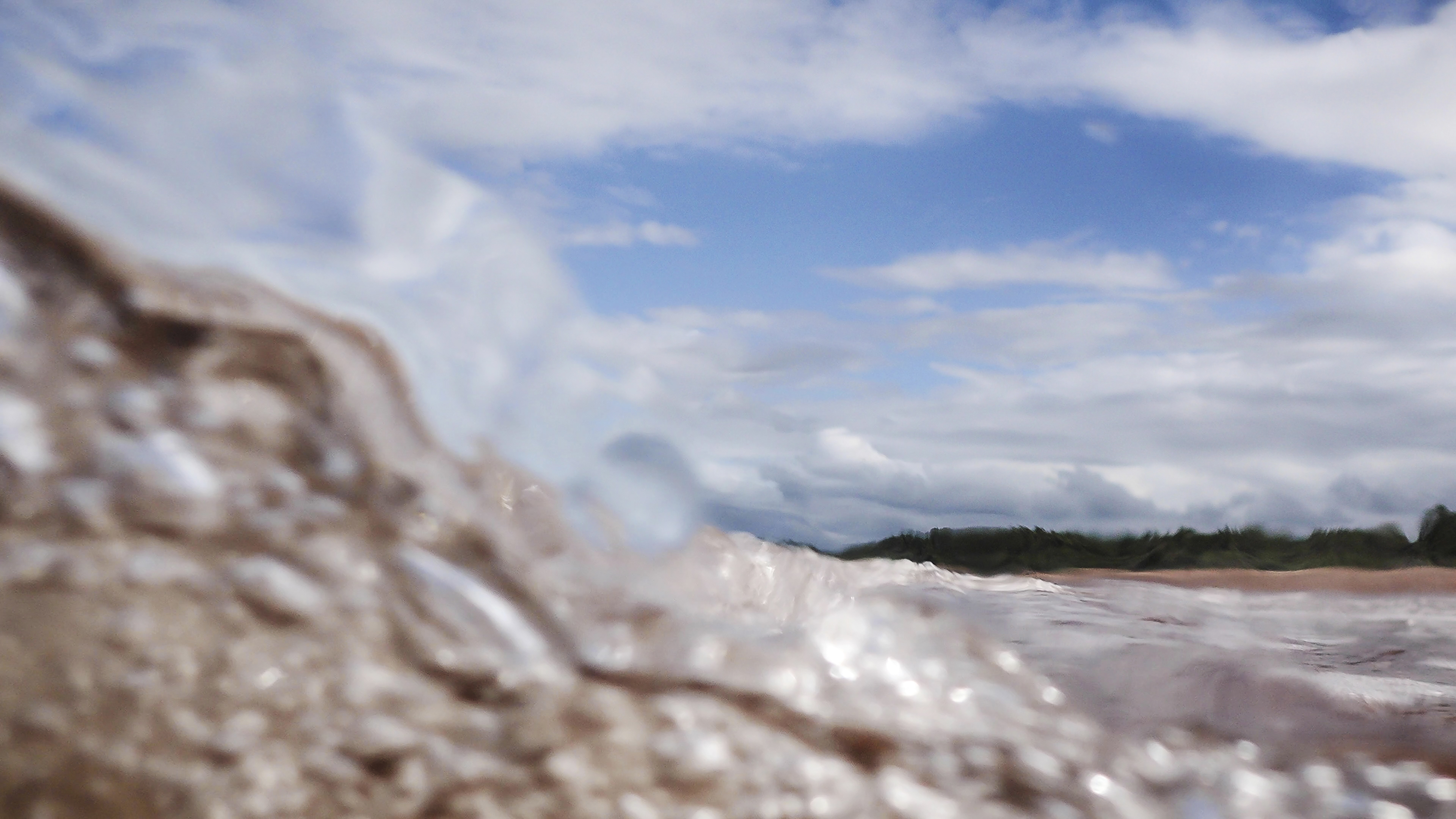 Renewing worlds together: notes from the beach - Sydney Environment ...