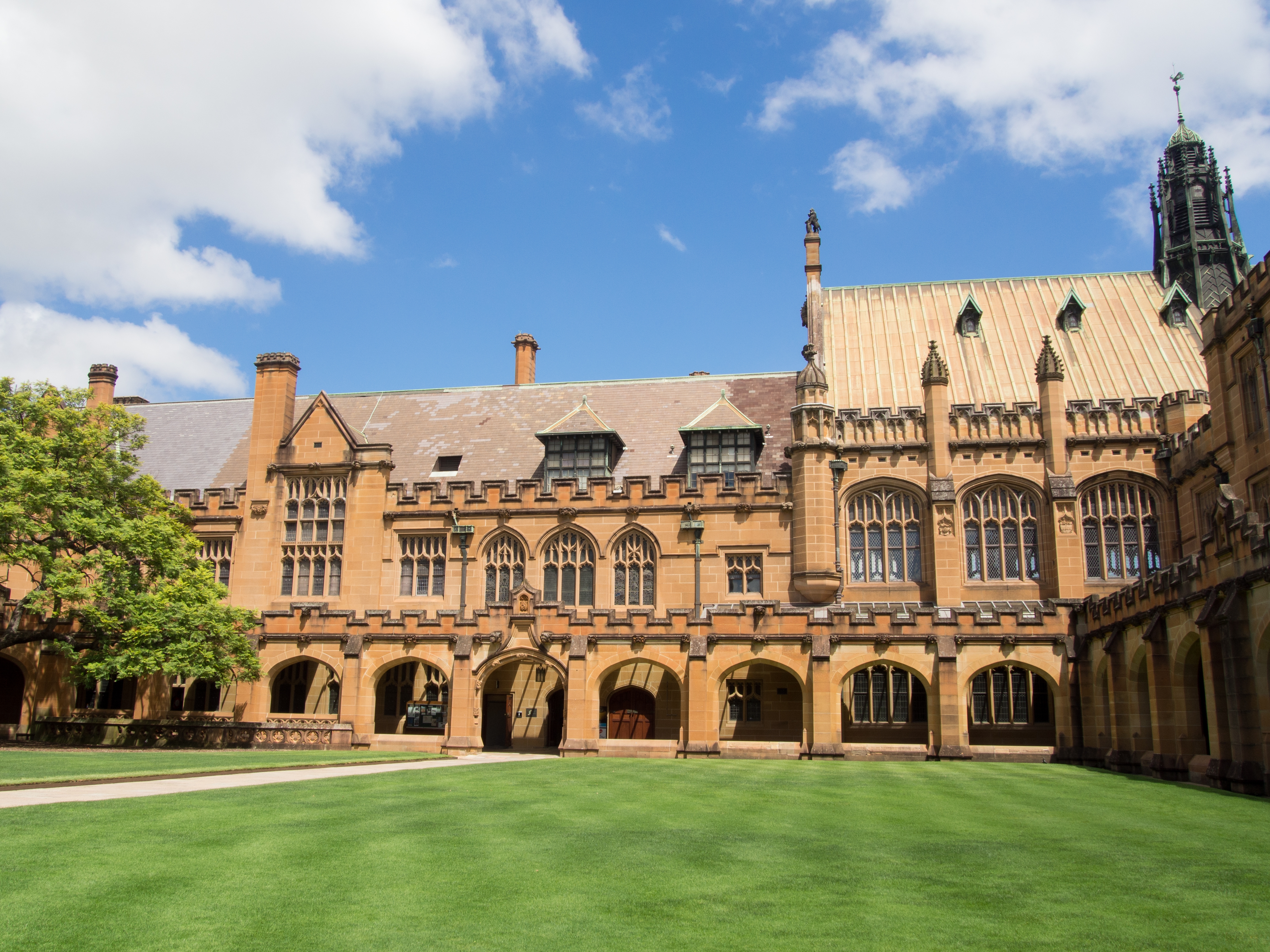 Pathways to employment in academia - Sydney Environment Institute