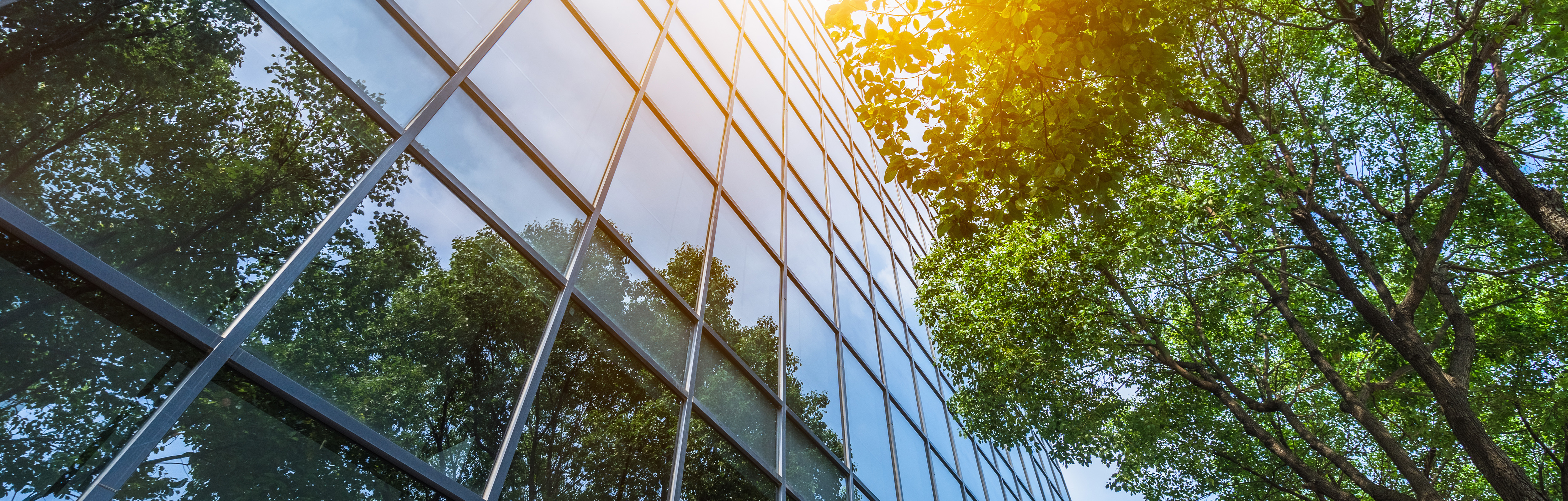 Mid-career engineering researchers awarded $1.9 million in ARC Industry ...