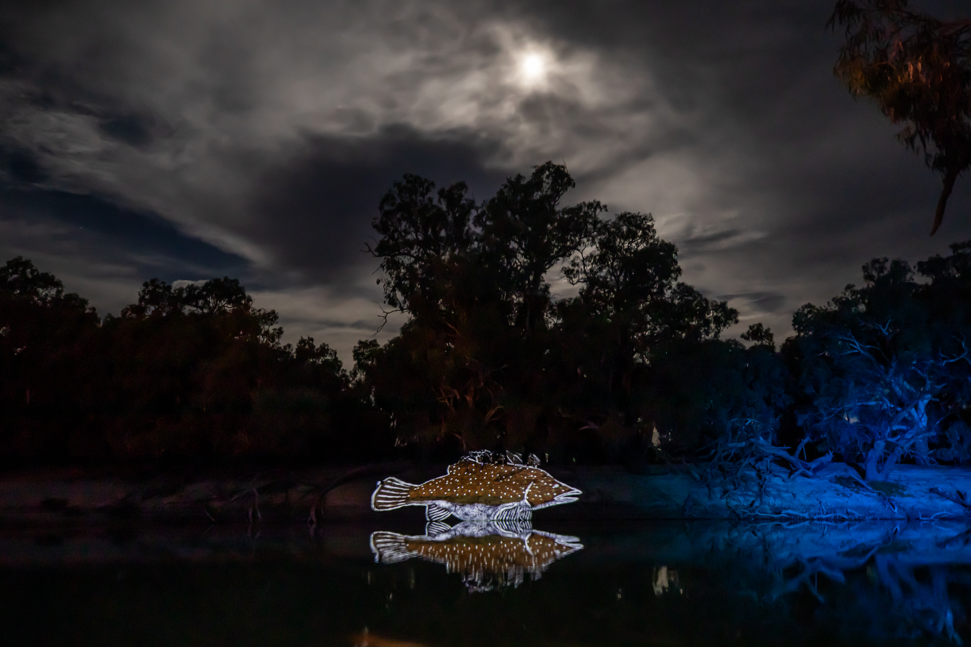 More than a Fish Kill - Sydney Environment Institute