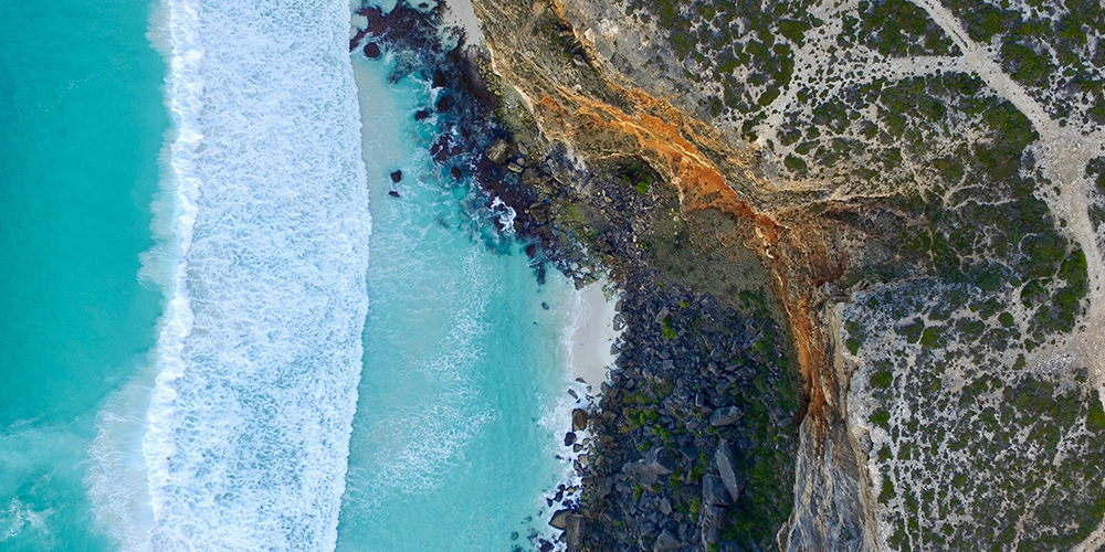 2021 - Sydney Environment Institute