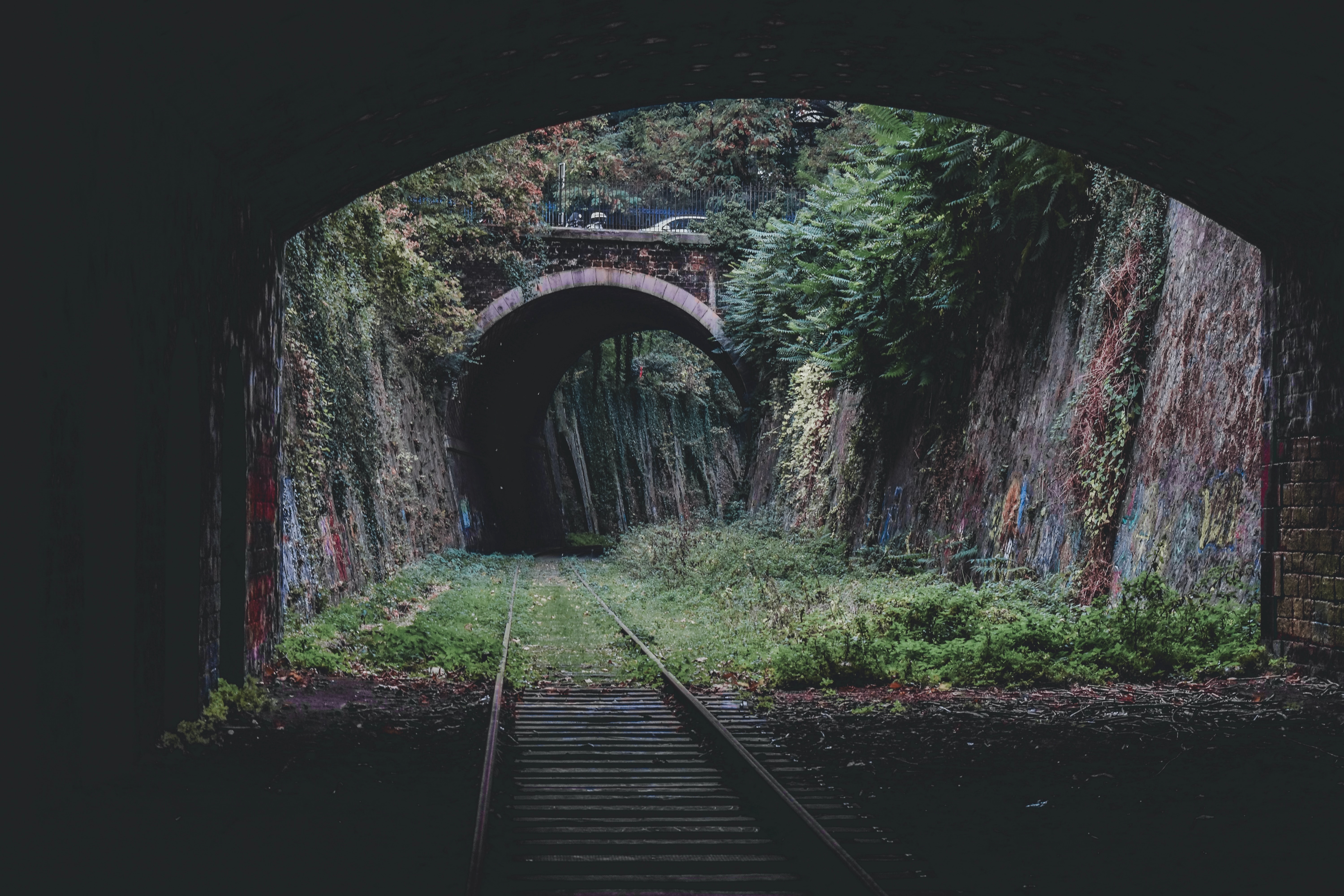 Exploring ecologies within urban spaces - The University of Sydney