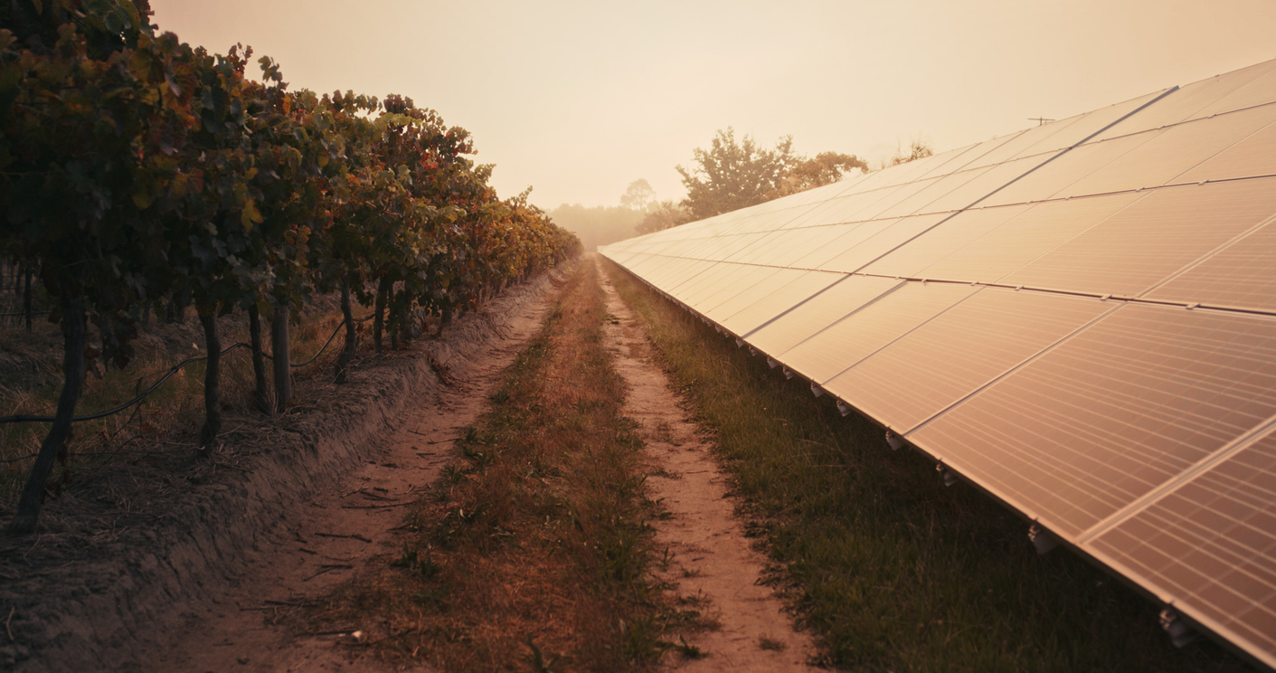 The RBA Review: A missed opportunity for climate transitions - The ...