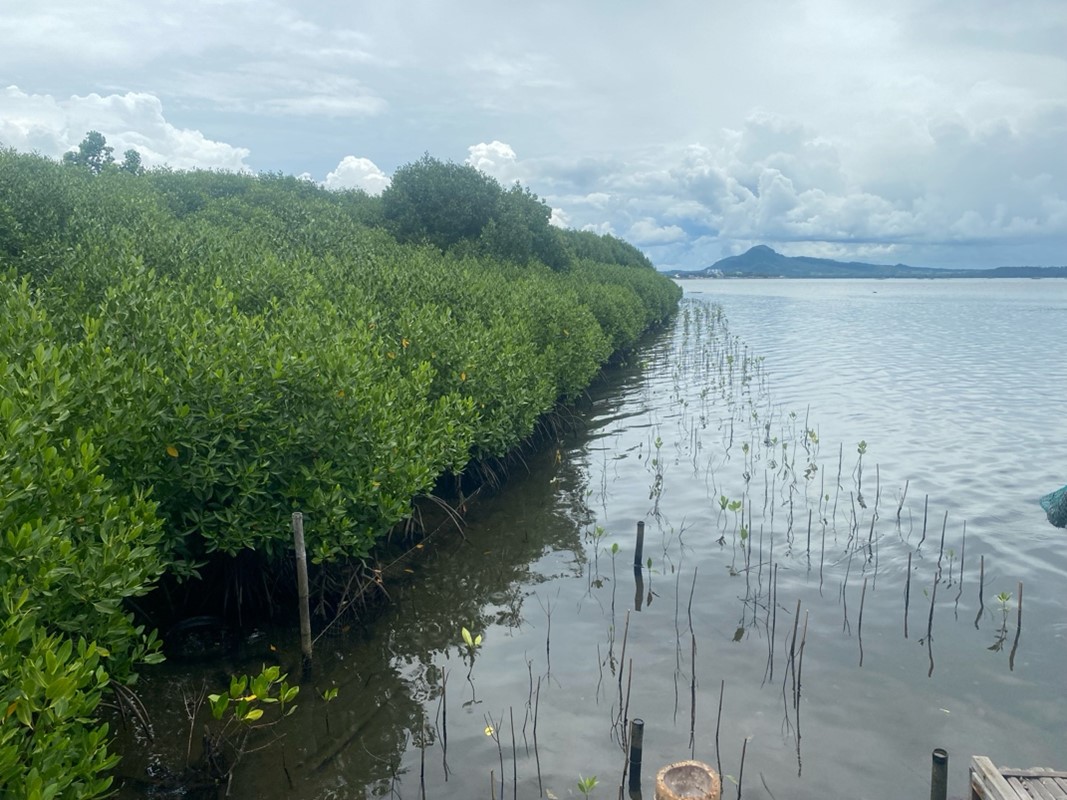 Exploring climate buffer infrastructures in Tacloban - The University ...