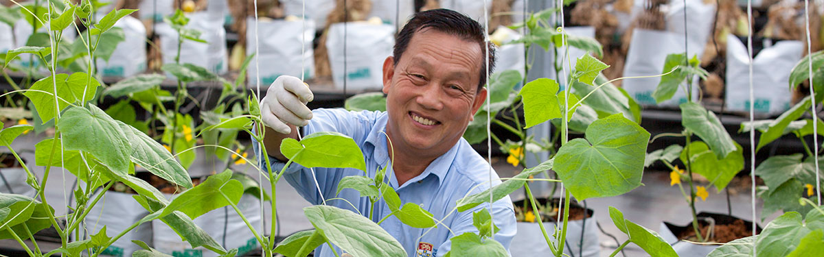 Plant breeding and production - The University of Sydney Institute of ...