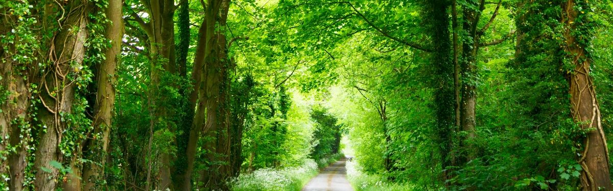 The world’s fragile relationship with nature - The University of Sydney