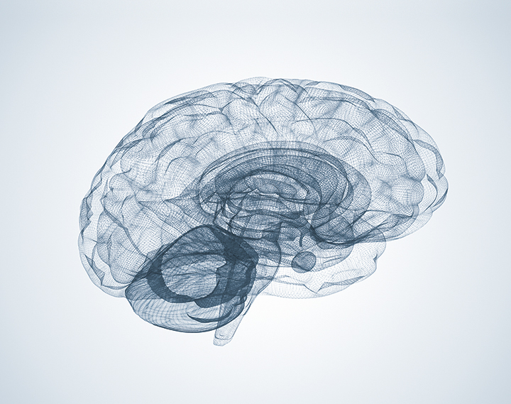 Tracking the impact of neuroscience in the courtroom - The University ...