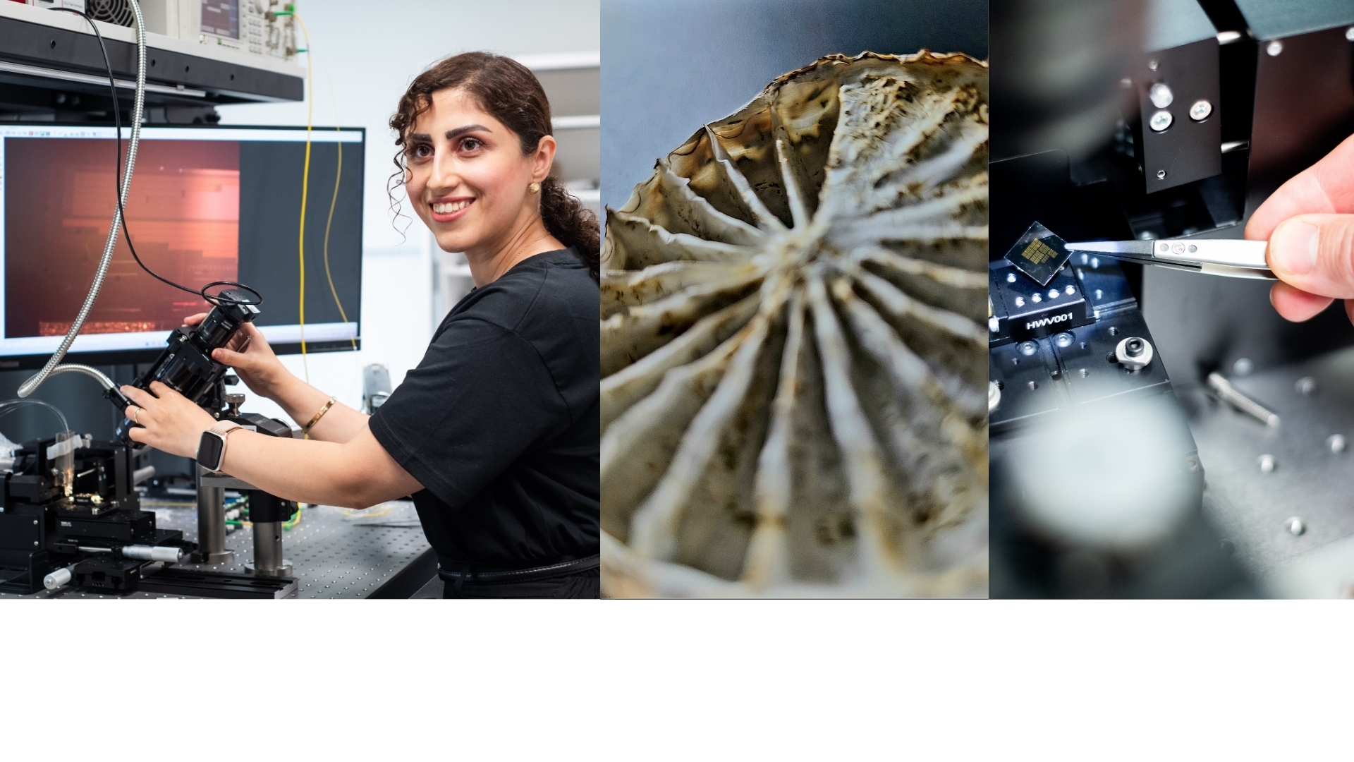 About us - The University of Sydney Nano Institute