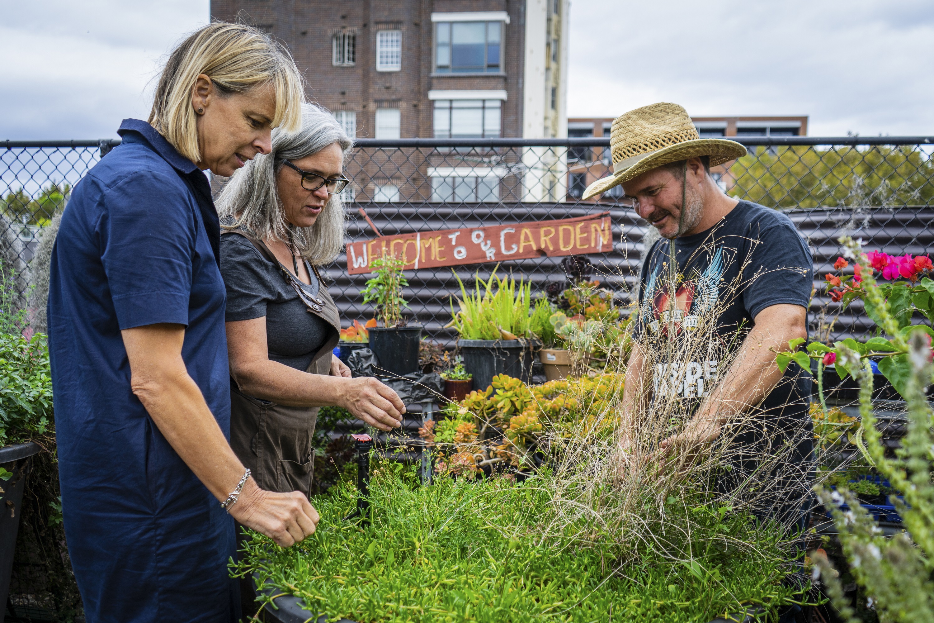 How to build and support resilient communities - The University of Sydney