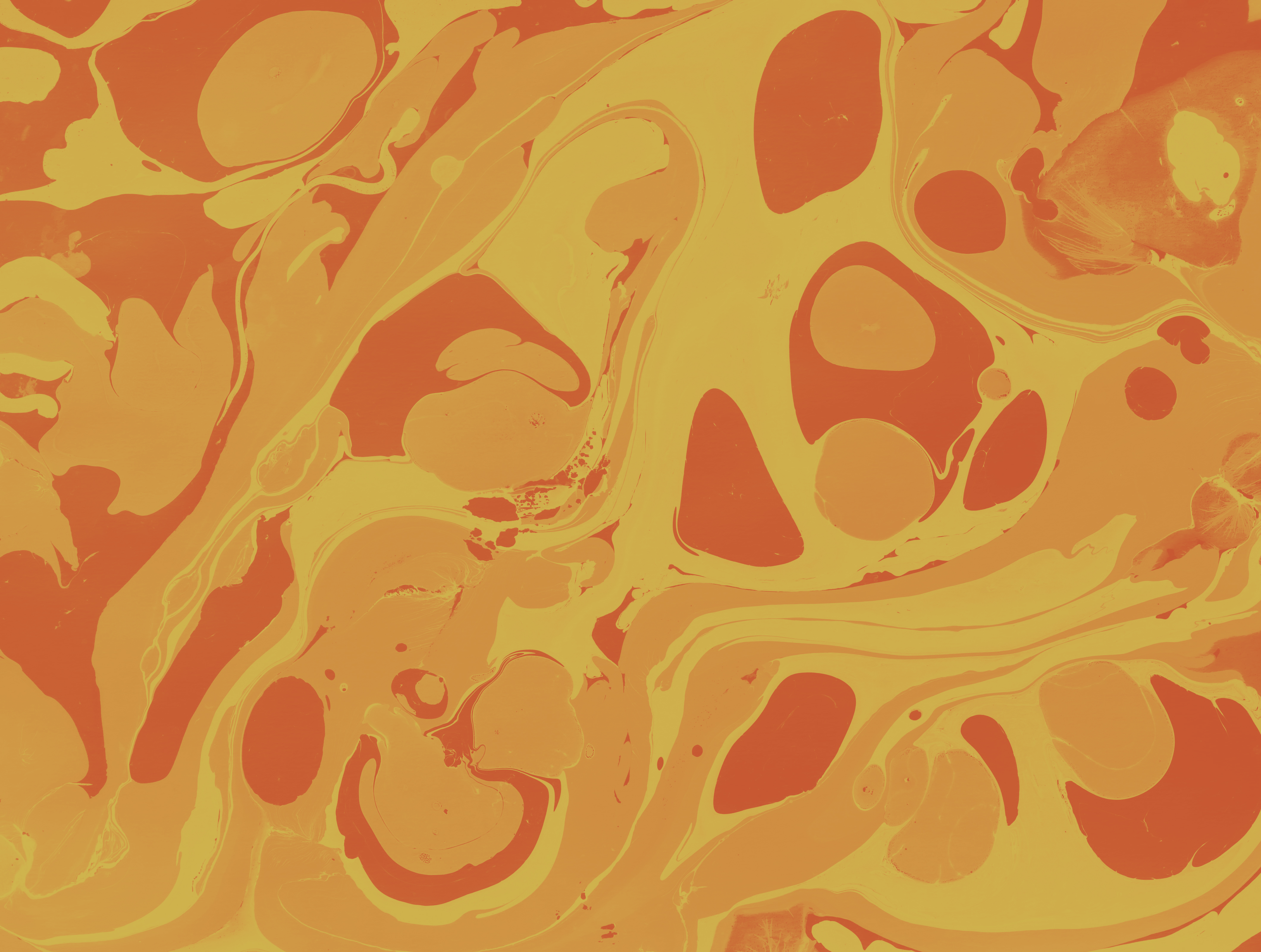 What do universities owe communities? - The University of Sydney