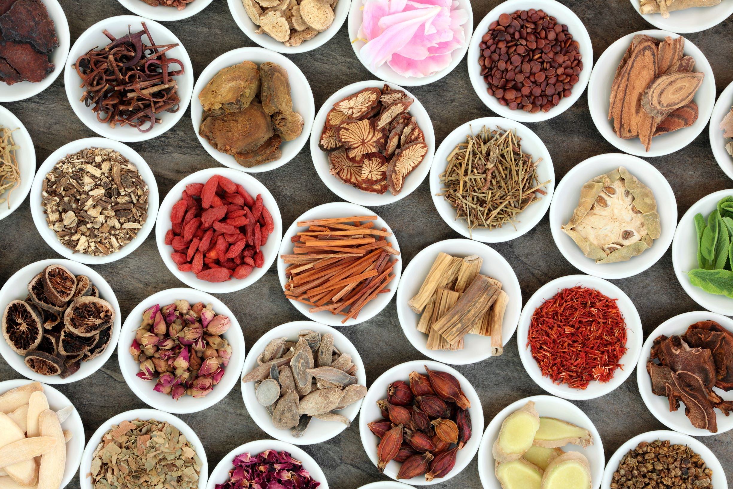 SSEAC Webinar Series - Health - Sydney Southeast Asia Centre