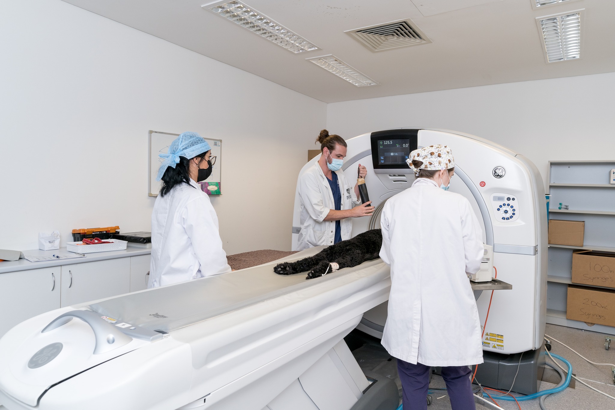 Specialty services - University Veterinary Teaching Hospital Sydney