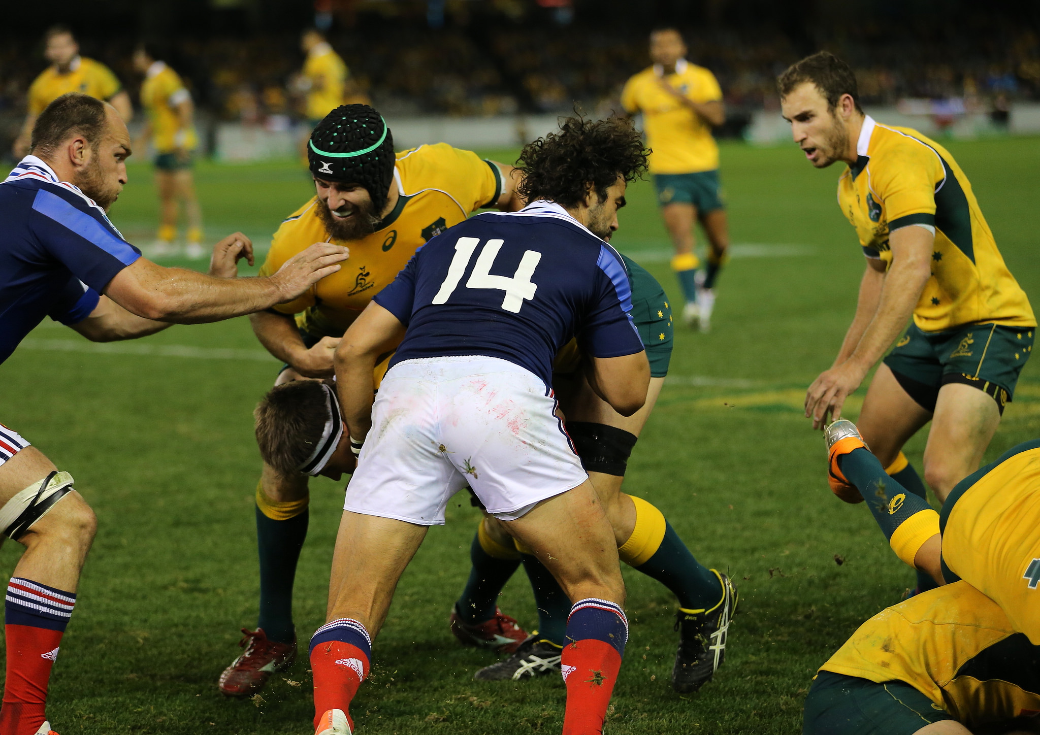 Wallaby stars’ brains shed light on tackle risks - The University of Sydney